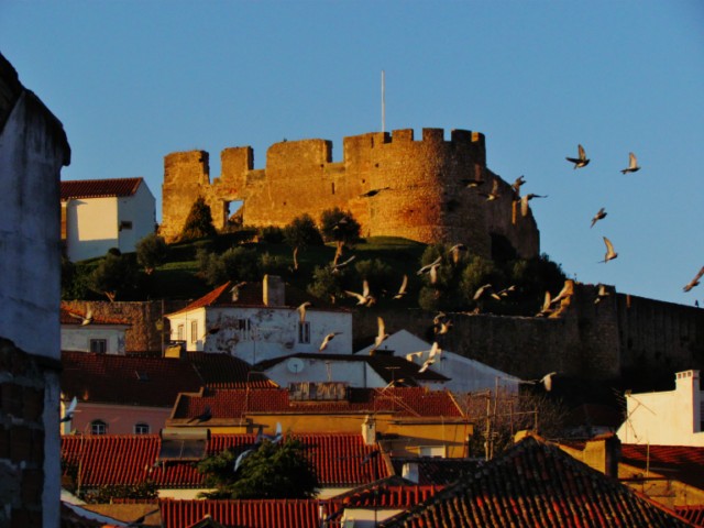 PATRIMÓNIO DE TORRES VEDRAS: PASSEANDO EM TORRES VEDRAS