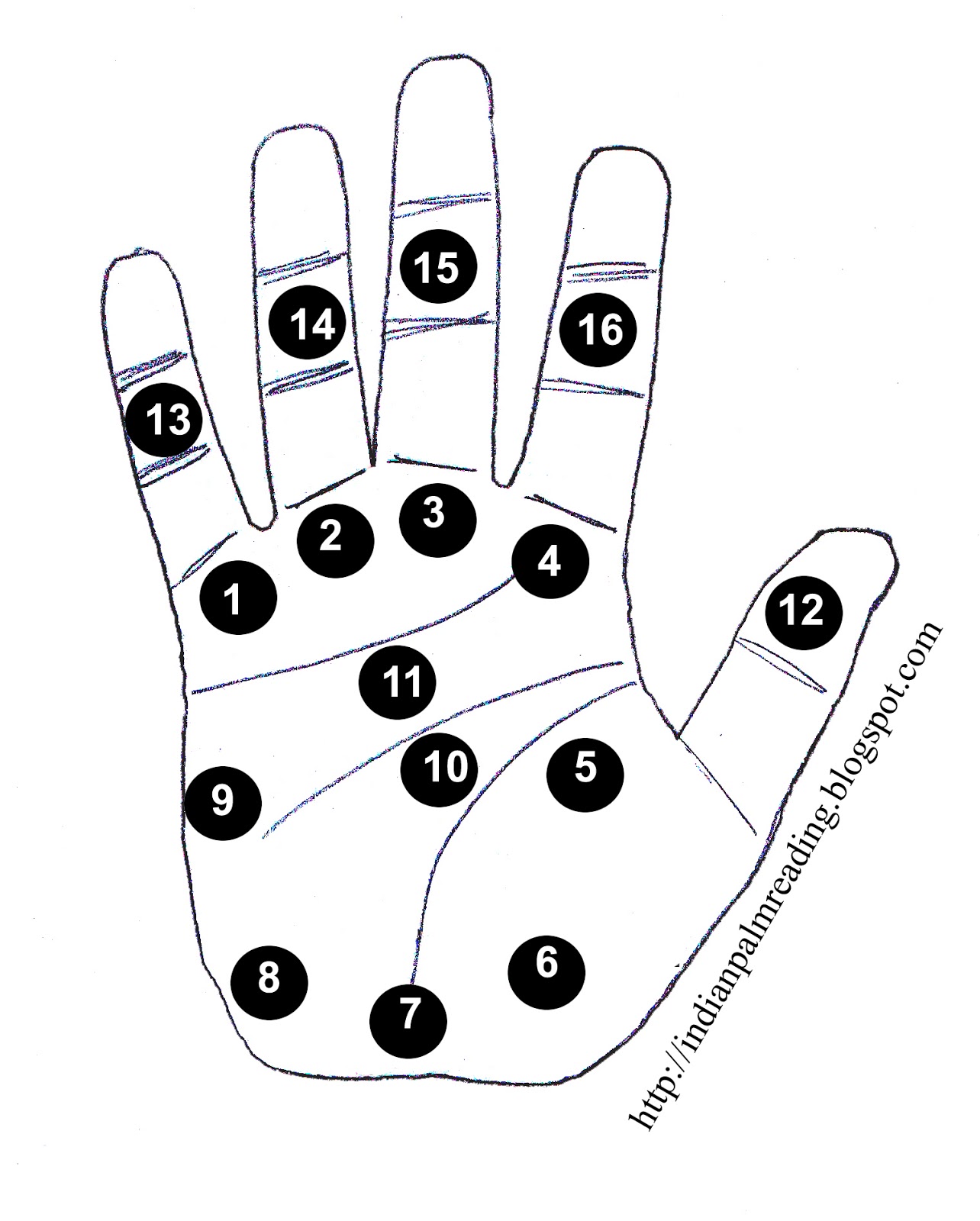 Basic Palmistry - Name Of All Mounts, Main Lines & Secondary Lines ...