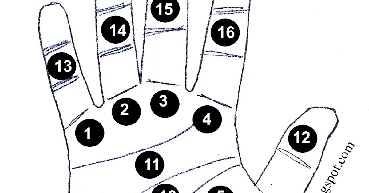 Basic Palmistry - Name Of All Mounts, Main Lines & Secondary Lines ...