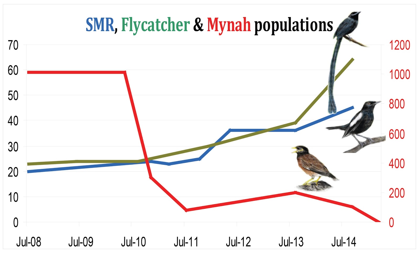 The Green Islands Foundation - Seychelles: Green Islands Foundation ...