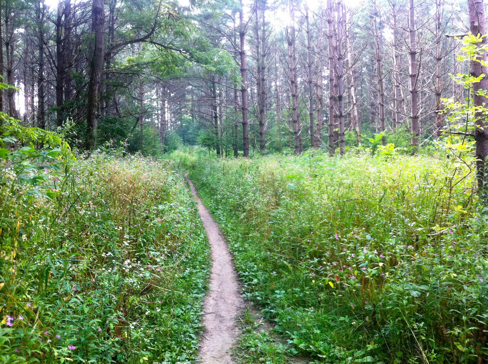 The Journey is the Reward.: Fanshawe Conservation Area...... and ...