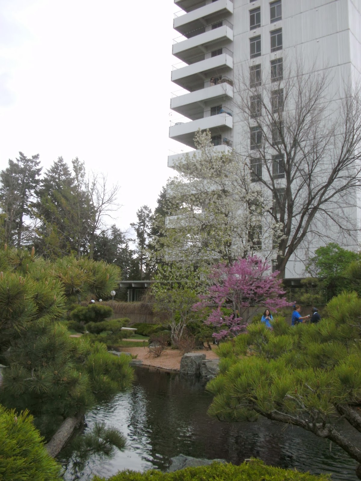 Explore Colorado: Denver Botanic Gardens ~ Spring Flowers
