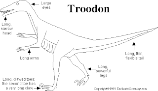 Troodon | BIOLOGIPEDIA