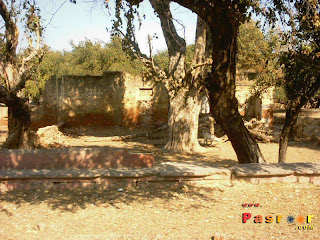 SULEHRI`S SECRETARIAT: PASRUR