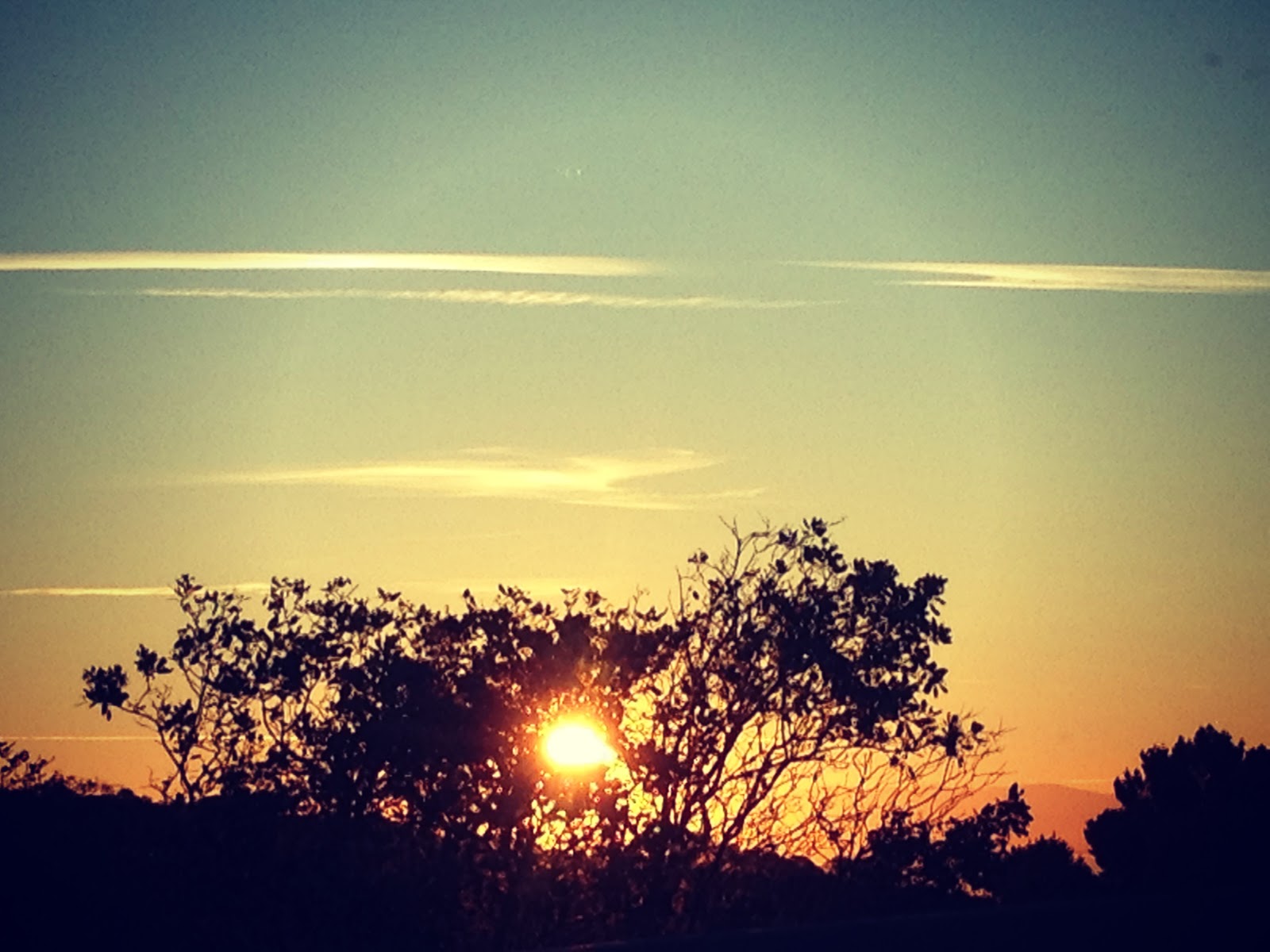 drewphotonora: Series Three: Andrew Prokos