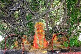 Kerala Mythology: Mannarasala, the snake temple of Kerala