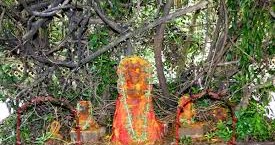 Kerala Mythology: Mannarasala, the snake temple of Kerala