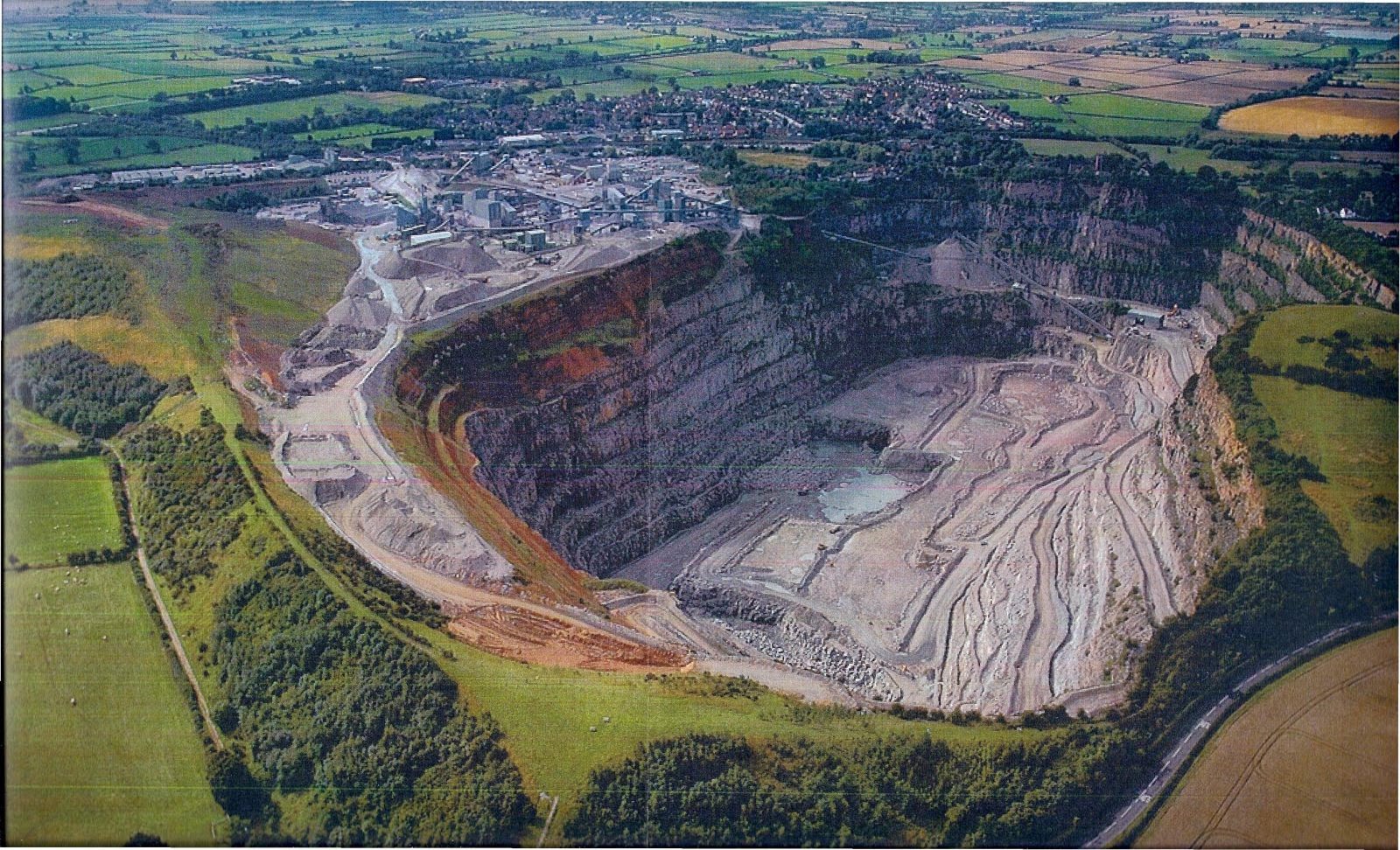 Parent's Guide to Pets: A family Walk