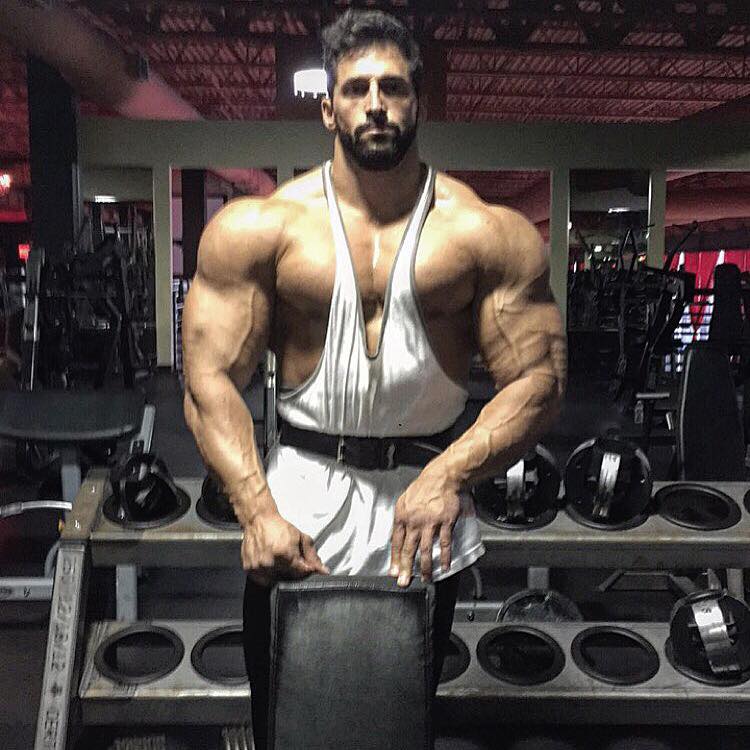 Word wide Bodybuilder Images| Best World WIde Bodybuilders