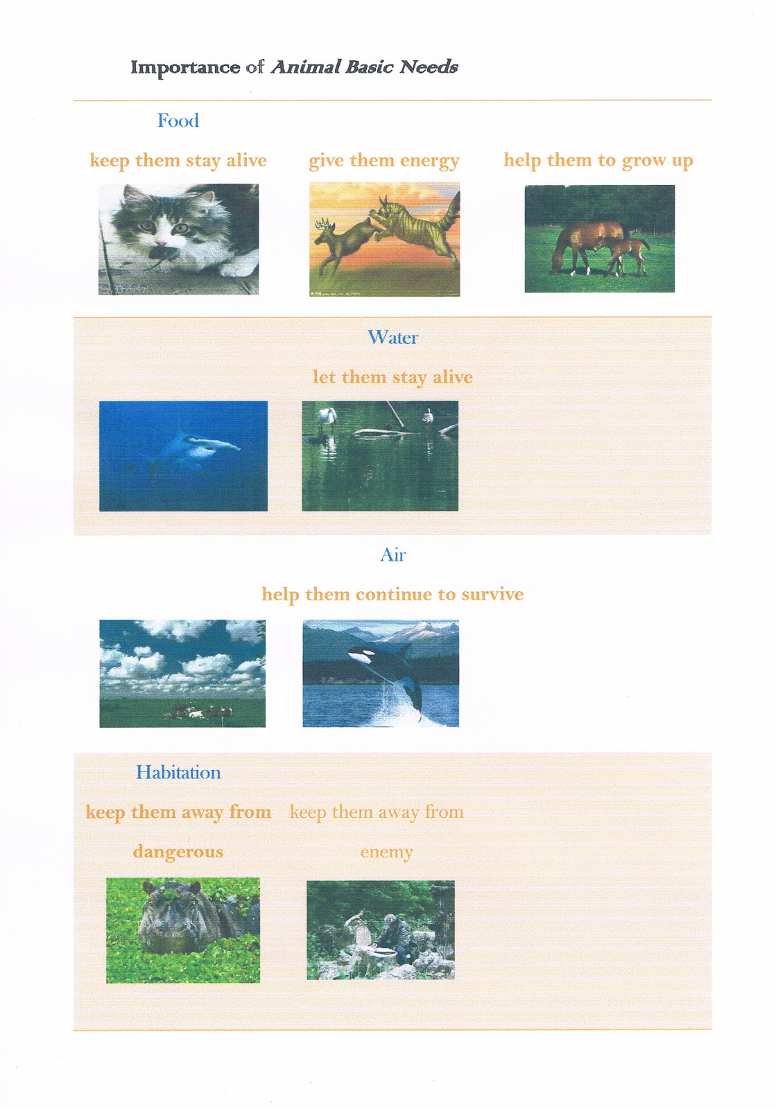 Science Garden Year 2: Animal Basic Needs & Importance of Animal Basic ...