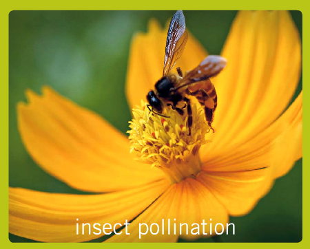 SGAguilar Javier Ramos: 2014