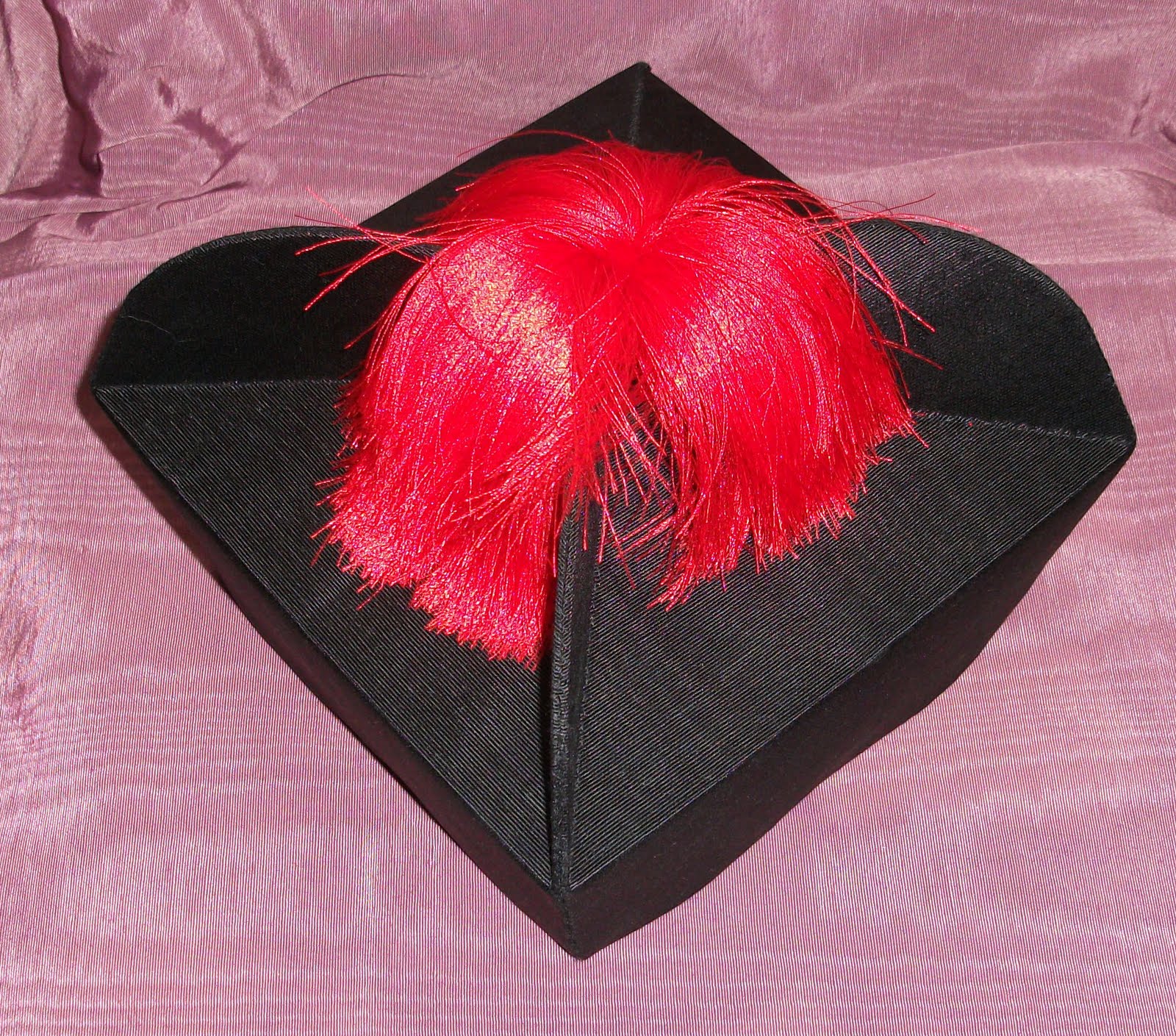 Domus Birettarum: The Biretta Today