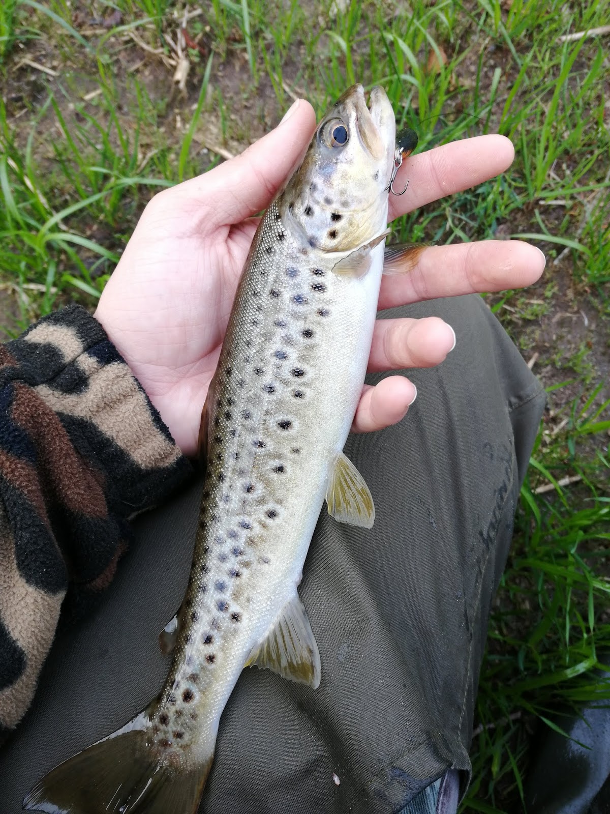TRUTAS ALTOMINHO: Uma jornada de boas trutas