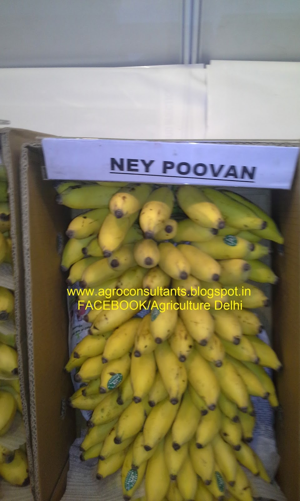 Somesh Jha: Banana केला Kela