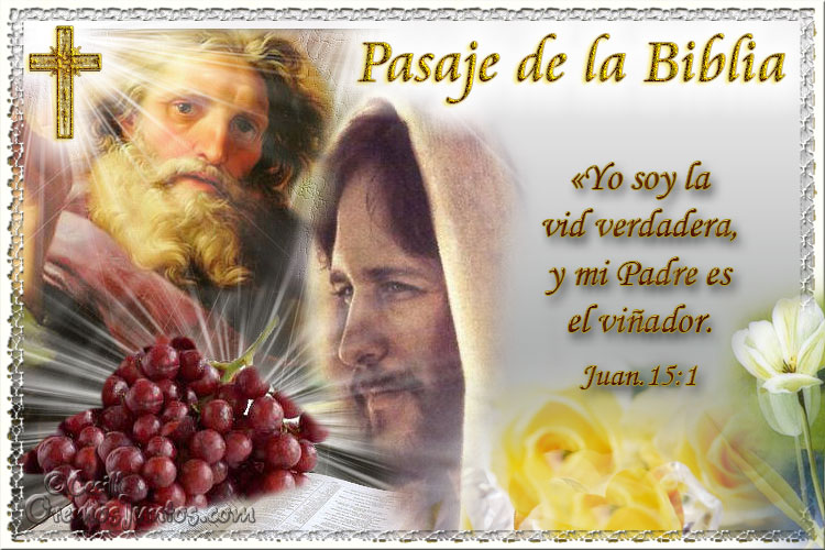 Vidas Santas: Santo Evangelio según san Juan 15:1