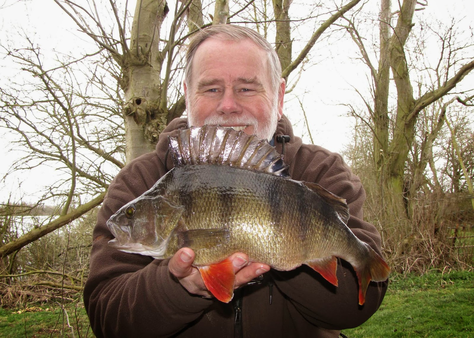 Travelling Man: The large bream campaign begins.