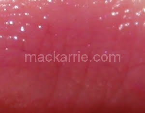 MacKarrie Beauty Style Blog: Clinique Chubby Stick Voluptuous Violet