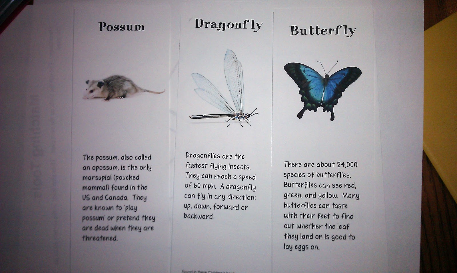 The Mommy School: Week 8 - Katy No-Pocket