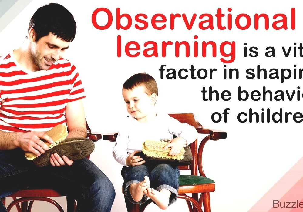 Observational Learning - Albert Bandura Observational Learning