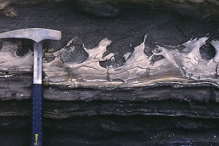 HarDy_ShiNiGaMi Blog: Batuan Sedimen ( Sedimentary Rock )