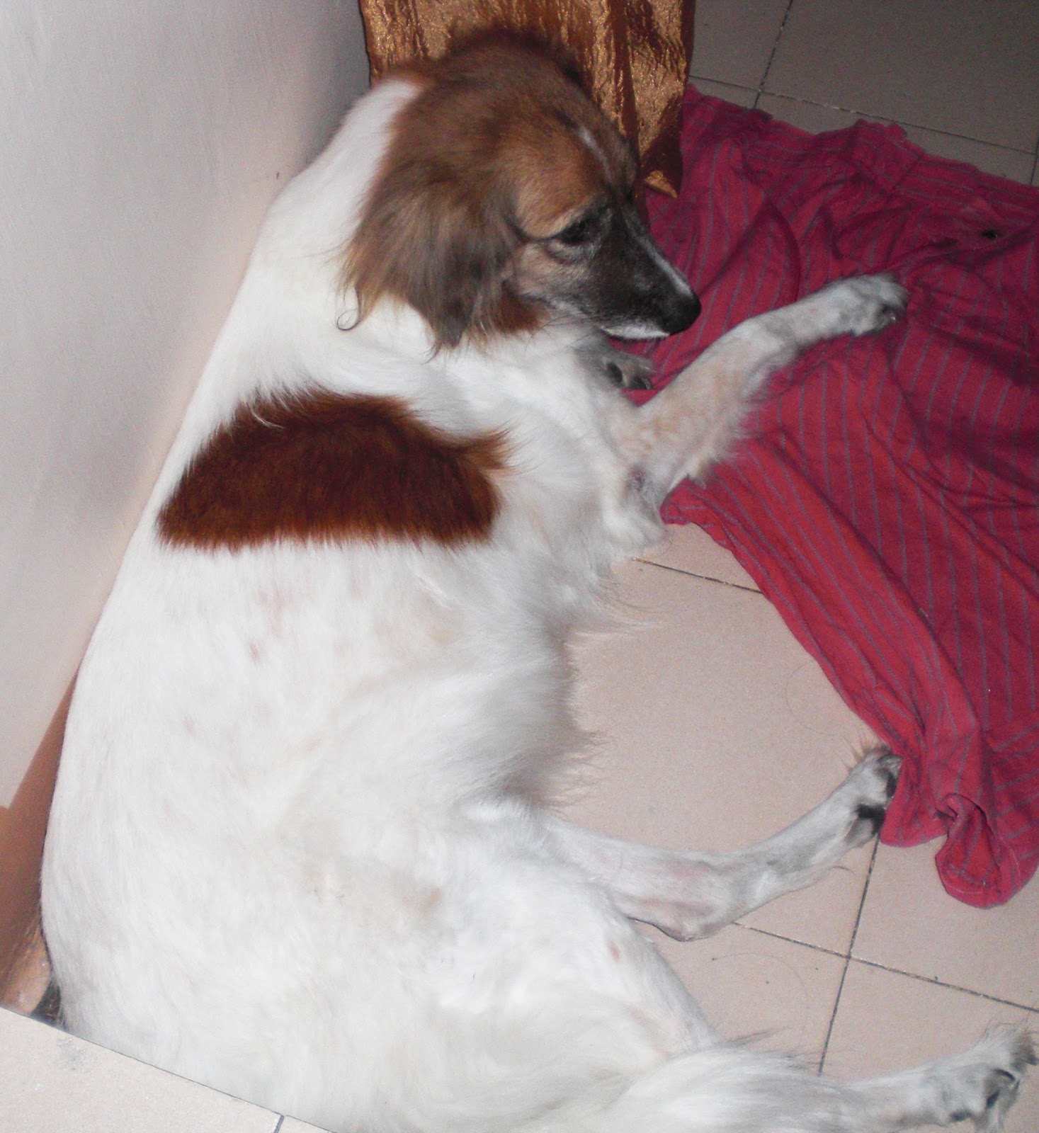 Rants And Raves: Memories Of My Baby San Chai