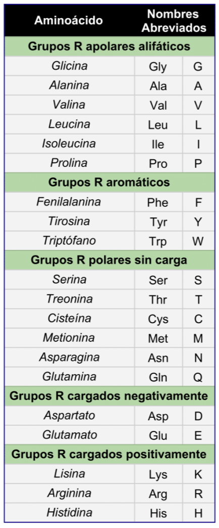 Química Sexto: Clasificación de los aminoácidos según el grupo R