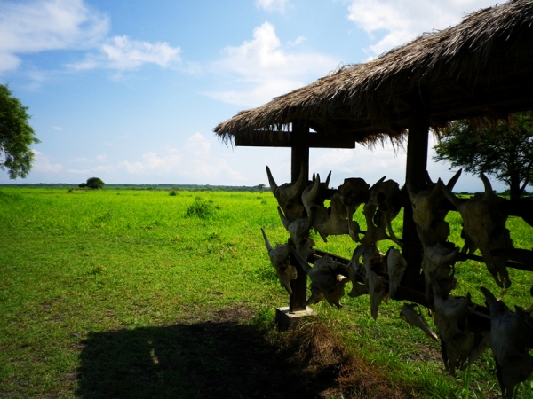 Afrika Mini di Ujung Timur Pulau Jawa ~ Kumpulan Catatan Perjalanan ...