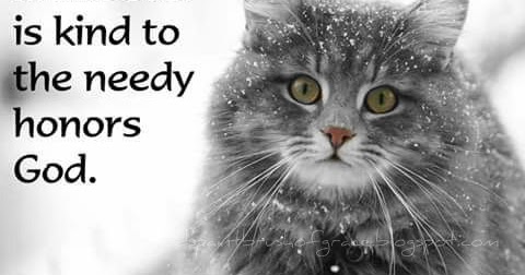 God's Paintbrush of Grace: Proverbs 14:31