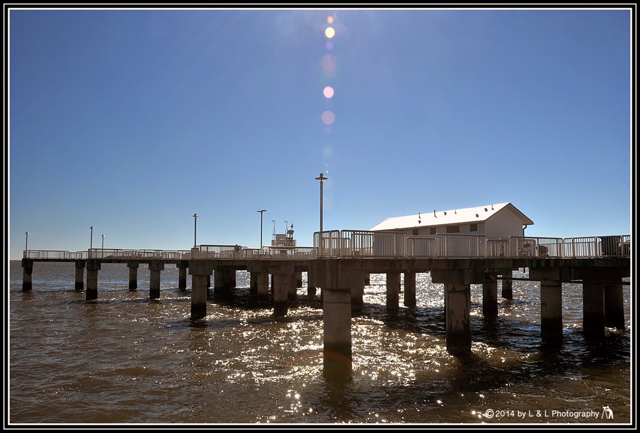Cedar Key (Florida) Photos: The Cedar Key Pier - Theme Day Post