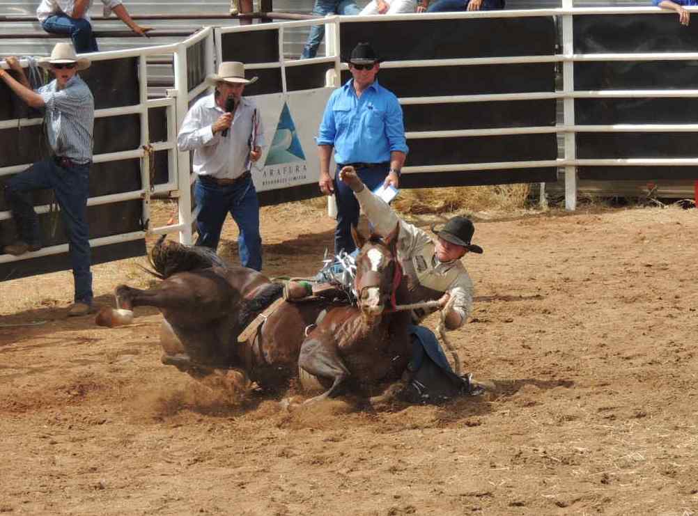 Ron & Anne's adventure: Bulls, dust and broken bones