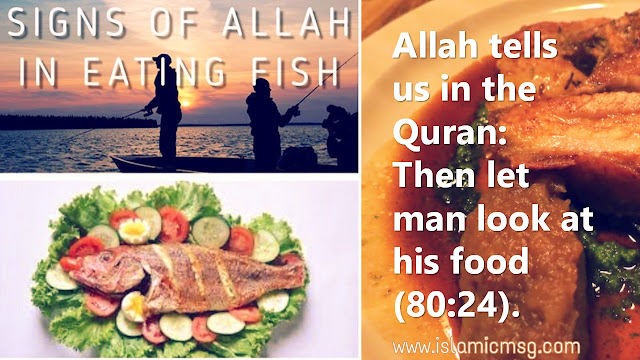 Sign of Allah in Fish | Food - Islam