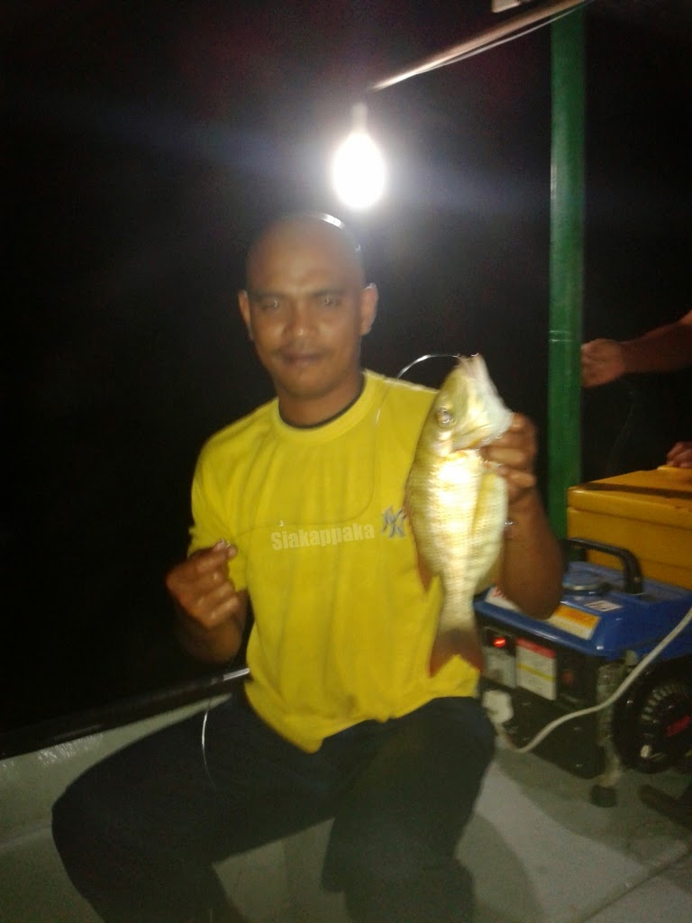 Asuh & Tenggiri | Siakappaka