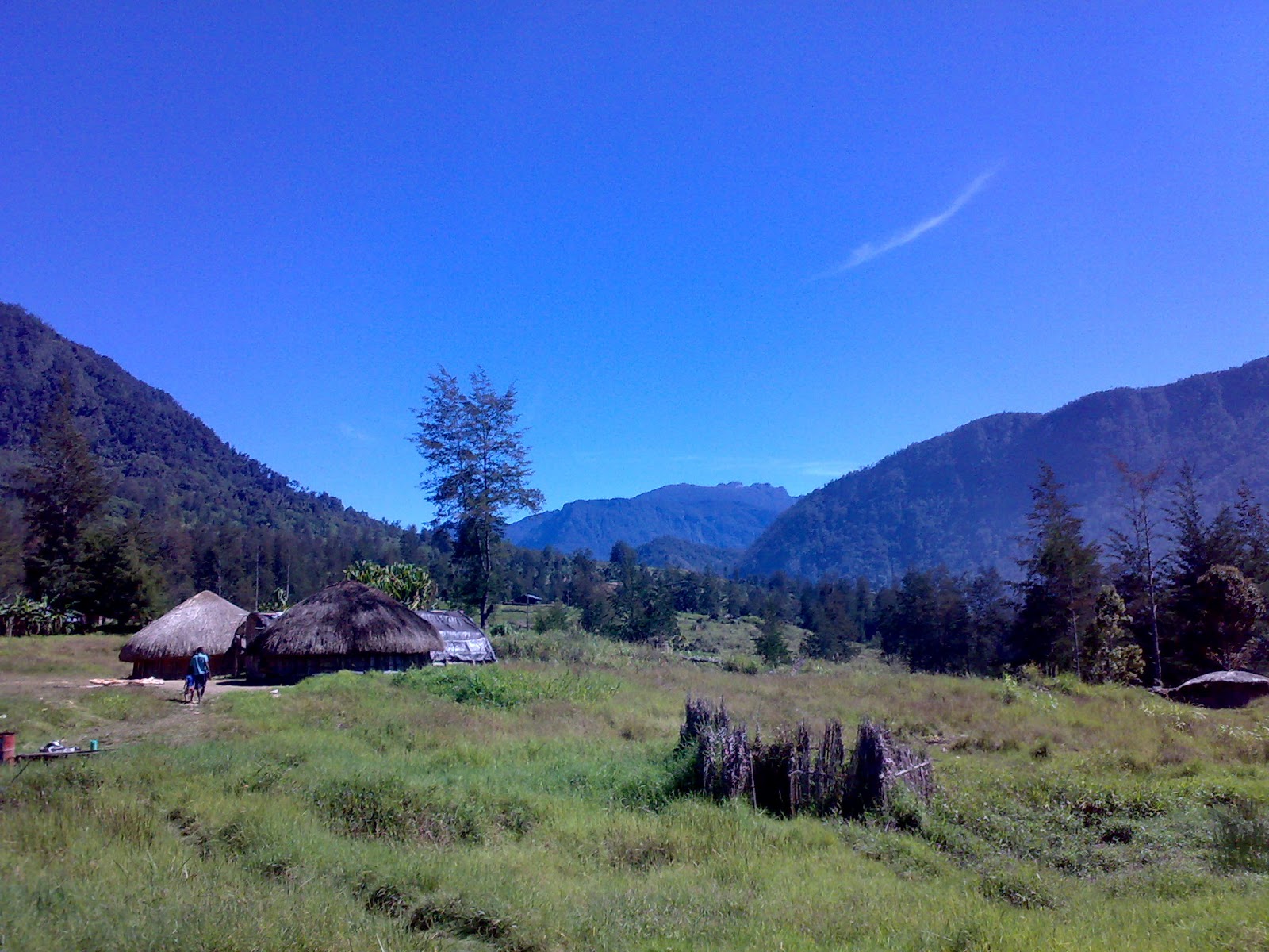 Alam Ilaga Puncak Papua