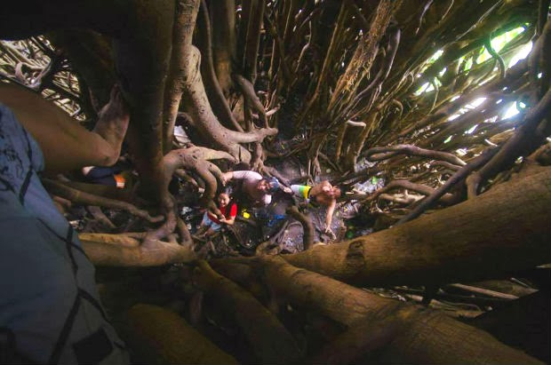 Balete Park & Millennium Tree: Largest Balete in Asia - I ♥ Tansyong™
