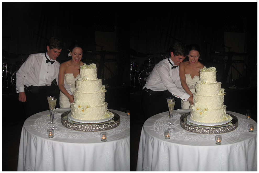 The Pink Elephant: Mr. and Mrs. Douglas Reilly Monroe!