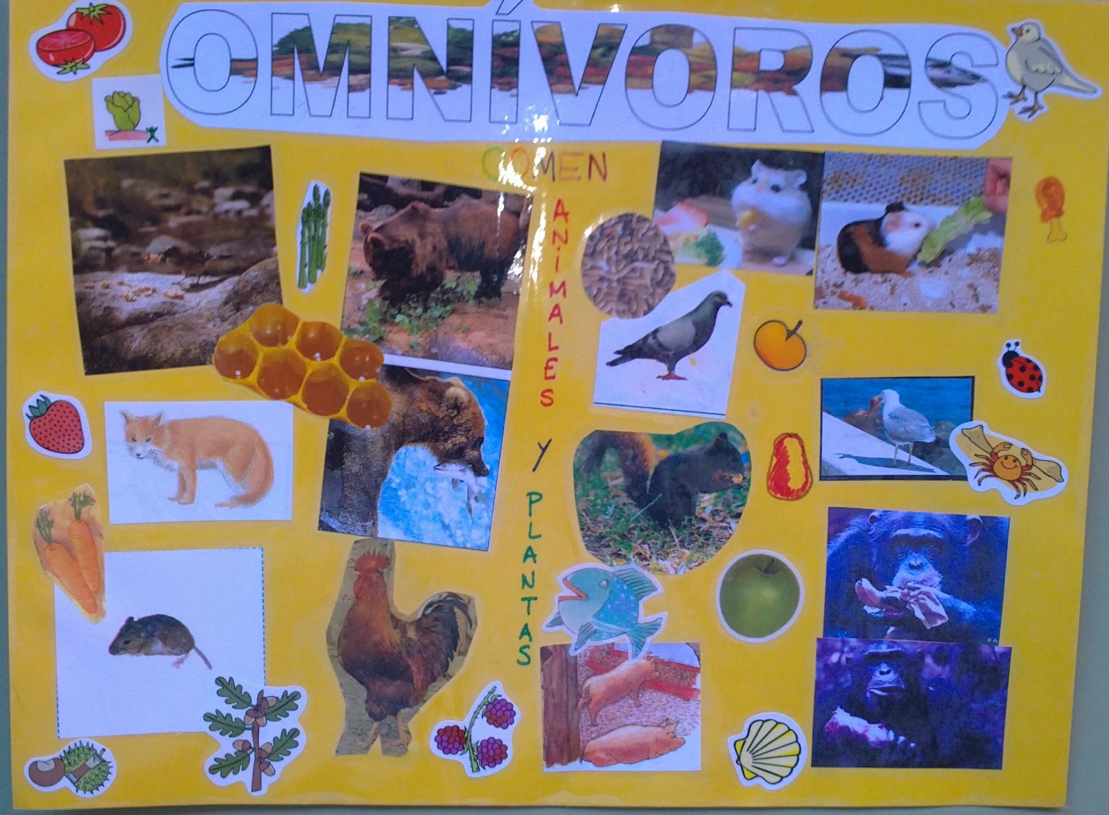 Mil recursos: LÁMINAS ANIMALES