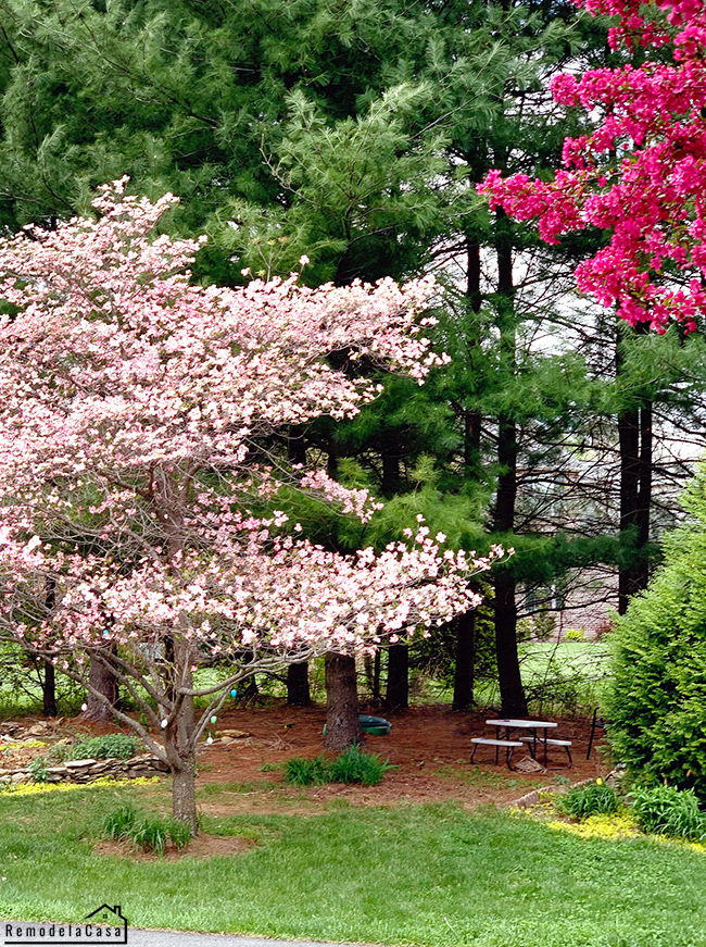Beautiful Spring Colors - Remodelando la Casa