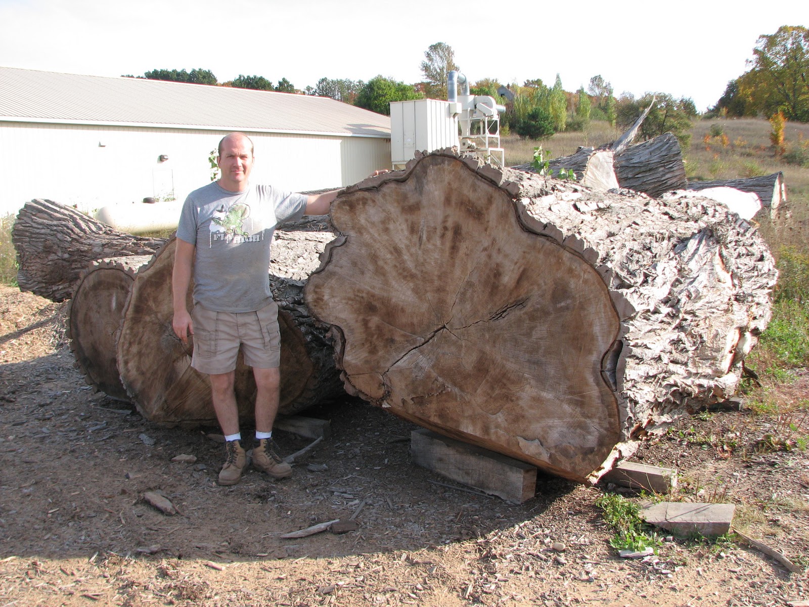 Rare Earth Hardwoods Custom Woodwork Gallery: Logs