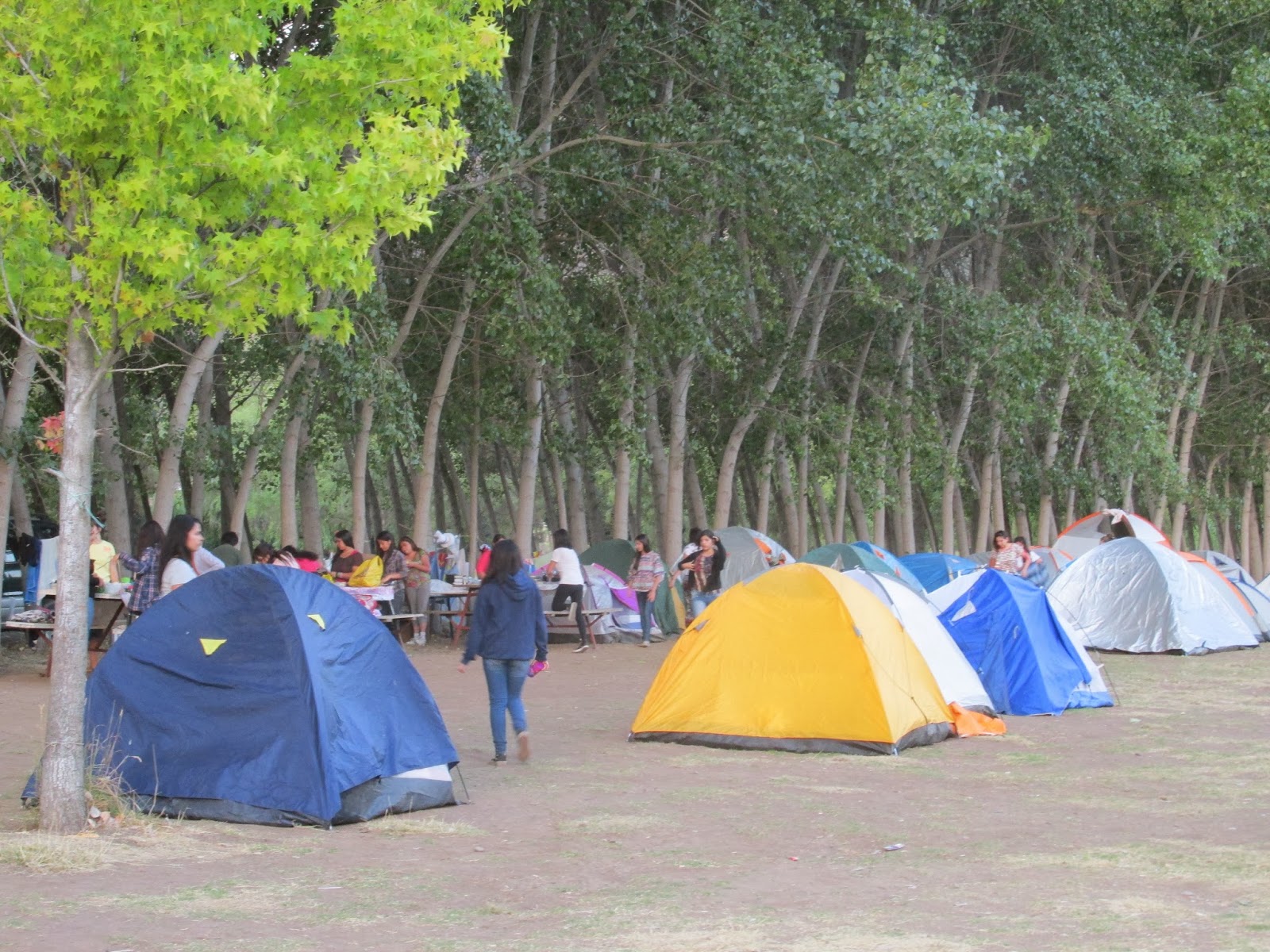 The Warnes in the Chile Rancagua Mission: Girl's camp and sister ...