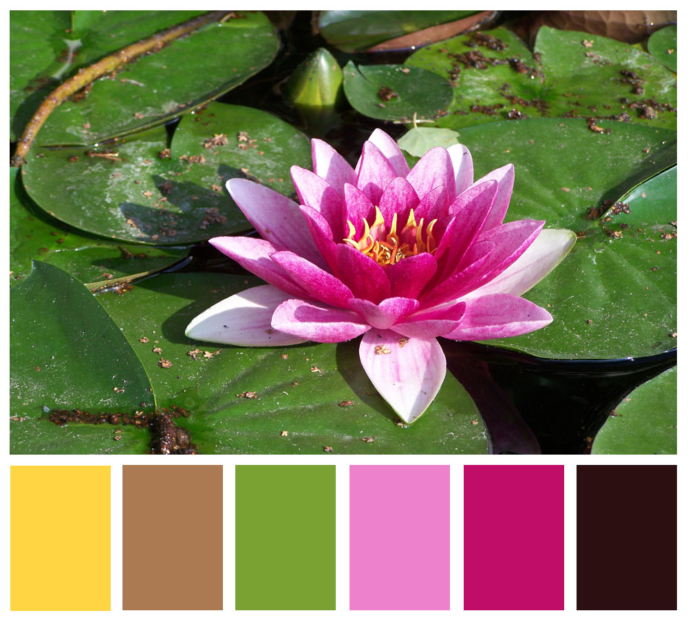 Sana Saroti: Why make it simple...