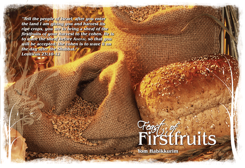 Four* Pointer: A Survey of the Old Testament Law--Commands concerning ...