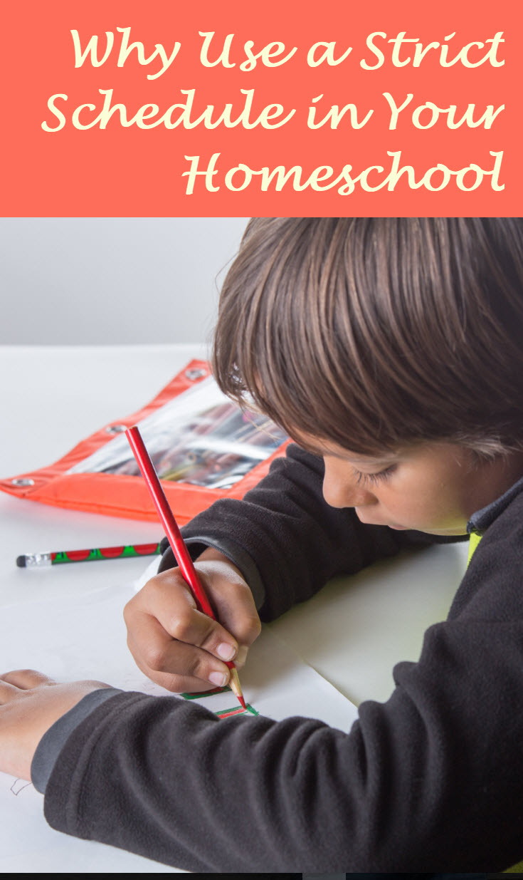 Bookish Family: Why Use a Strict Schedule or Timetable in a Charlotte ...