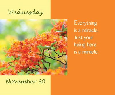 Linda's Voice: My Favorite Quote for Today Wednesday November 30,2016