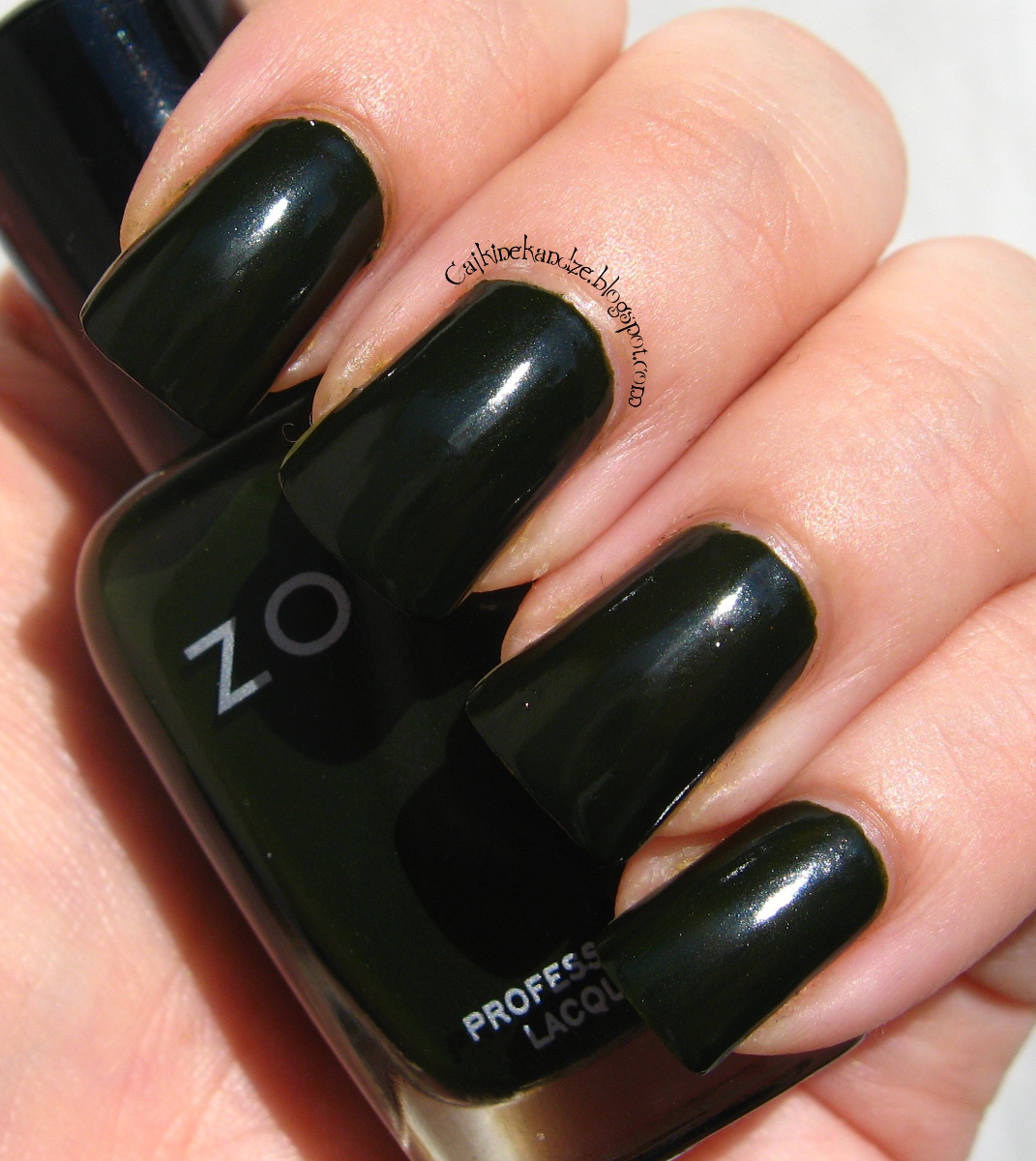 Zoya Envy | Cajkine kandže i sve njihove boje