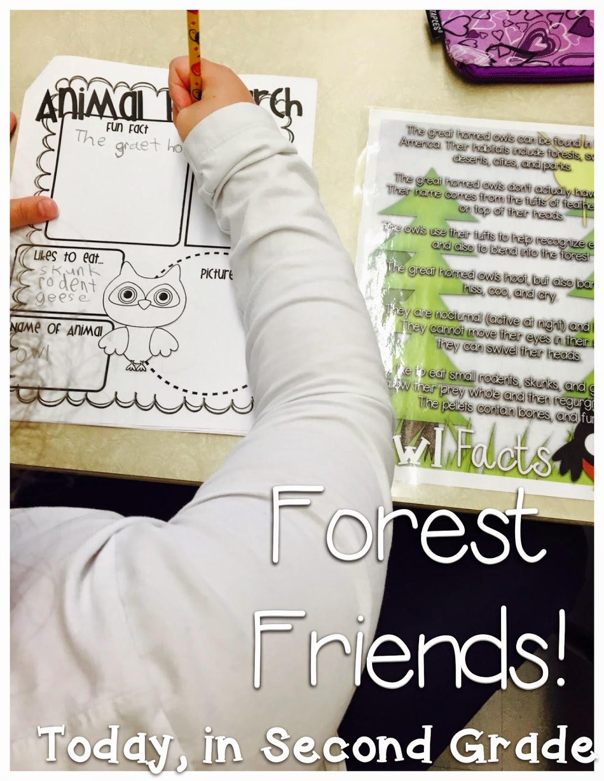 In the Woods... - Today in Second Grade