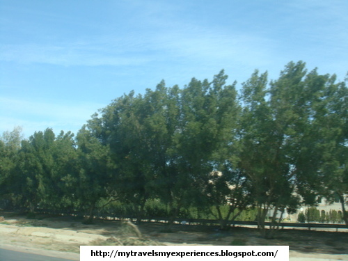 My Travels,My Experiences: How Green is Kuwait?