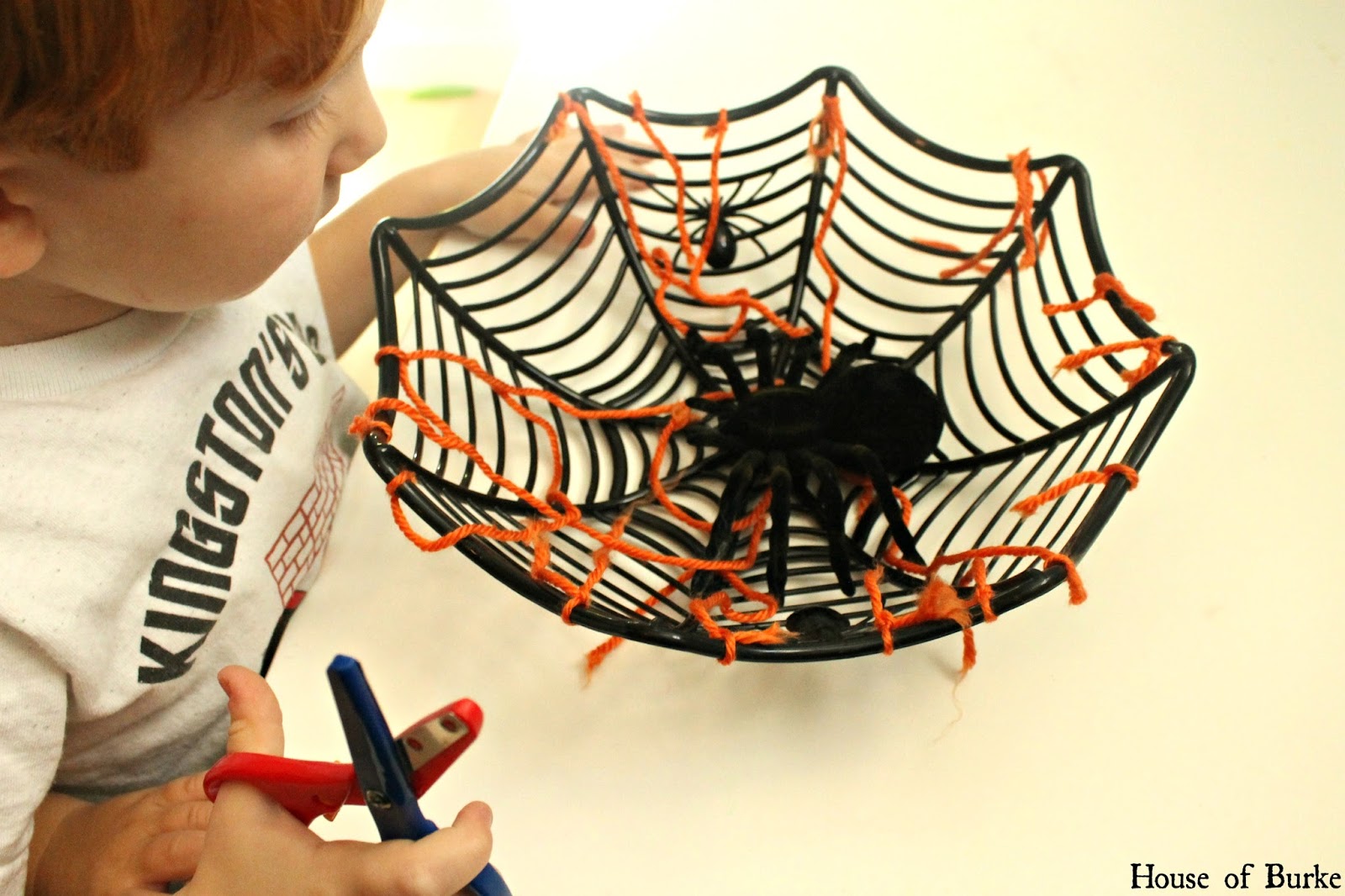 House of Burke: Spider Web Cutting Activity