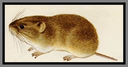 Beszamel i spółka bez ograniczeń: stycznia 2012