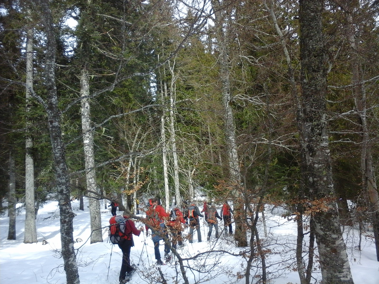 GV Rando de Voreppe (Isère): Raquettes et ski de fond - Autrans
