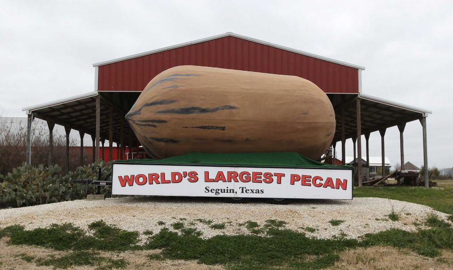 Wandering Brook: Food for Thought : April is National Pecan Month